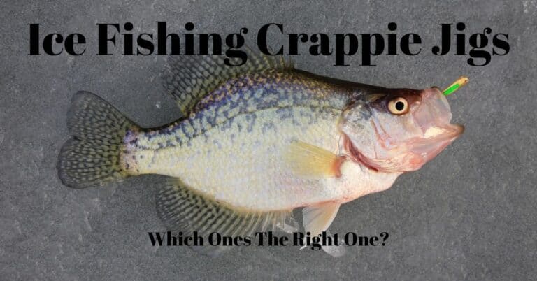 13 Best Ice Fishing Crappie Jigs: Ultimate Crappie Catchers – Tackle ...