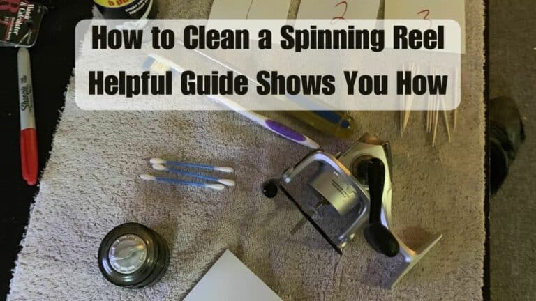How to Clean a Spinning Reel – Helpful Guide Shows You How – Tackle Box ...
