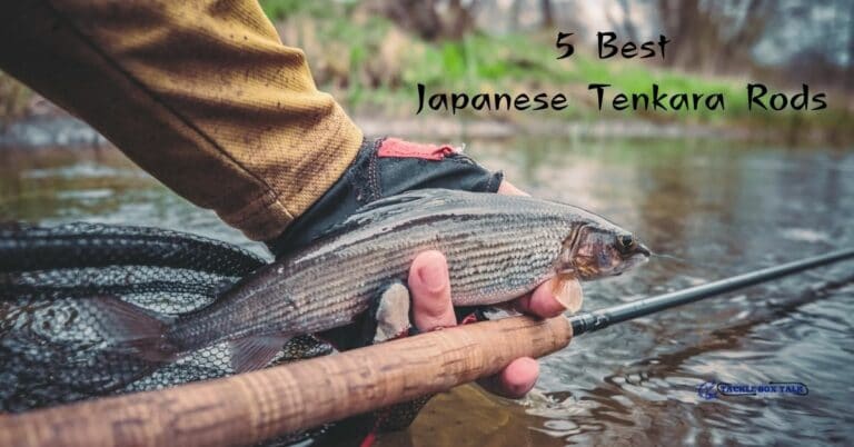 5 Best Japanese Tenkara Rods – Discover Quality – Tackle Box Talk