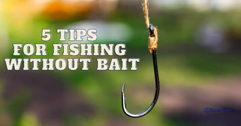 5 Tips For Fishing Without Bait – Tackle Box Talk