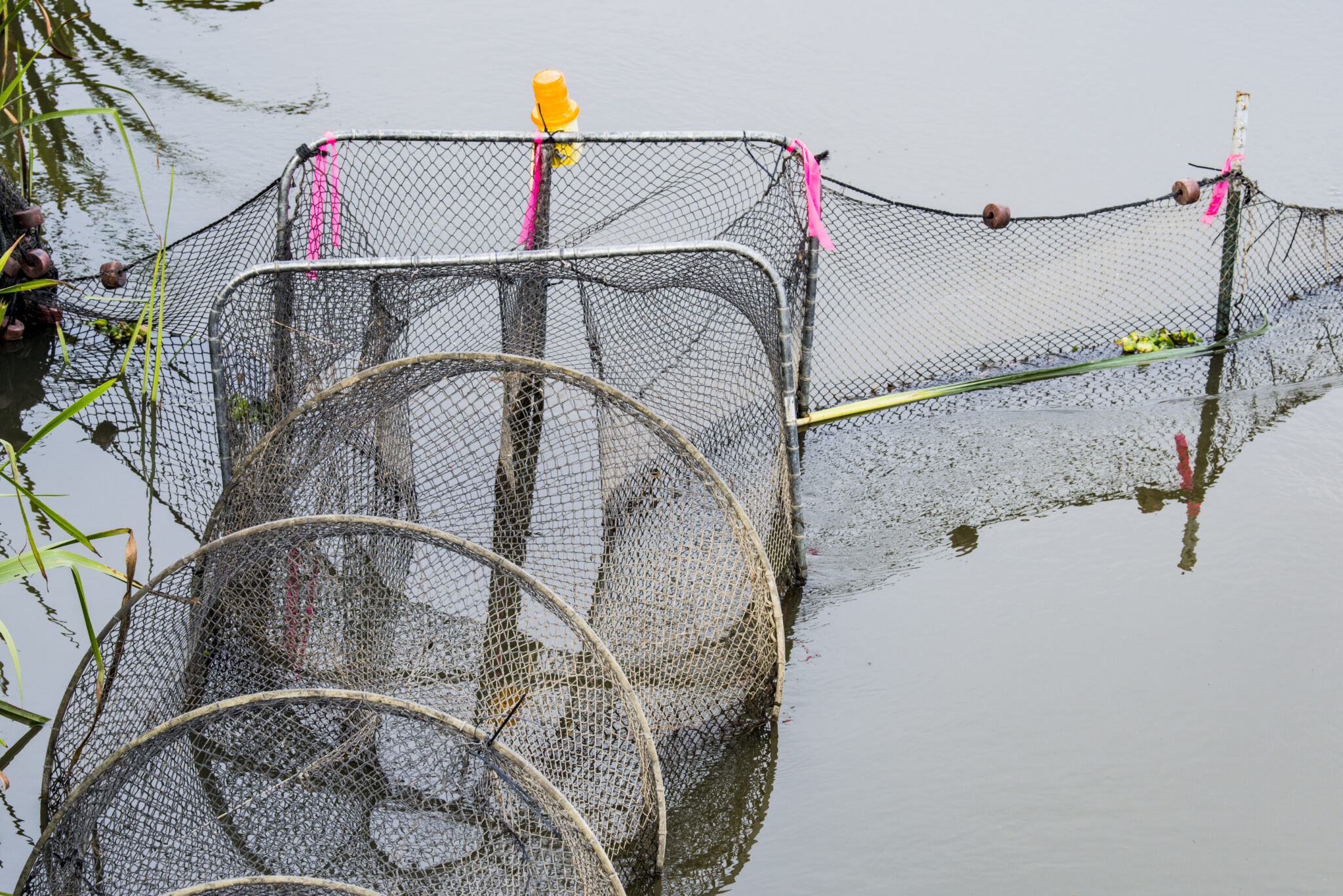 5 Tips For Fishing Without Bait