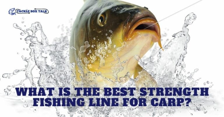 What Is The Best Strength Fishing Line For Carp? – Tackle Box Talk