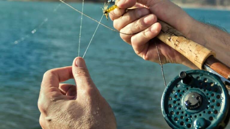 15 Best Fly Fishing Lines for Trout: How to use and What to Look for