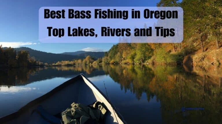 Best Bass Fishing in Oregon: Top Lakes, Rivers, and Tips – Tackle Box Talk
