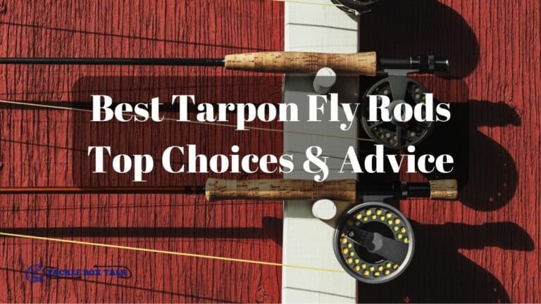 7 Best Tarpon Fly Rods: Top Choices & Advice