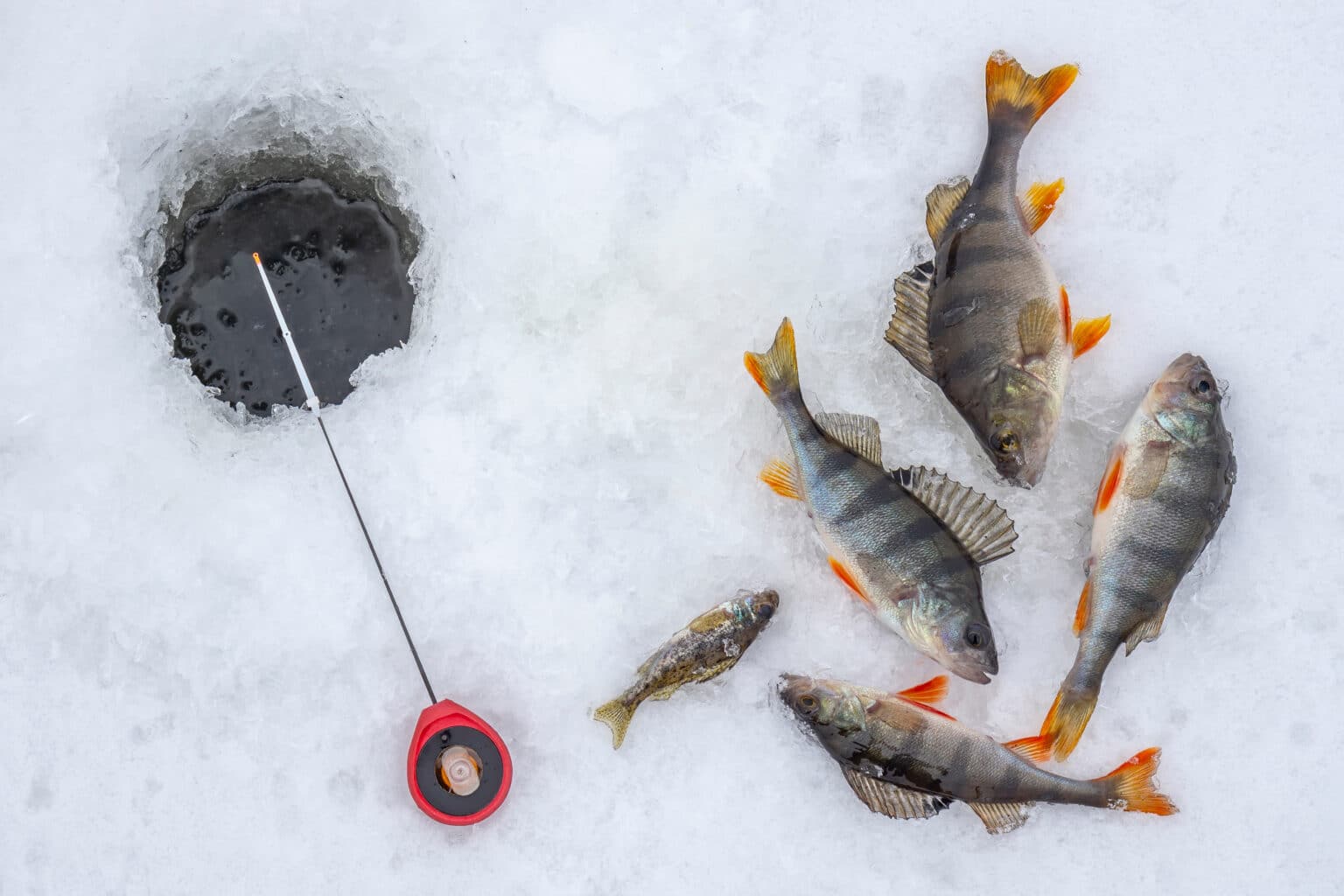 10 Best Inline Ice Fishing Reels: Eradicate Line Twist – Tackle Box Talk
