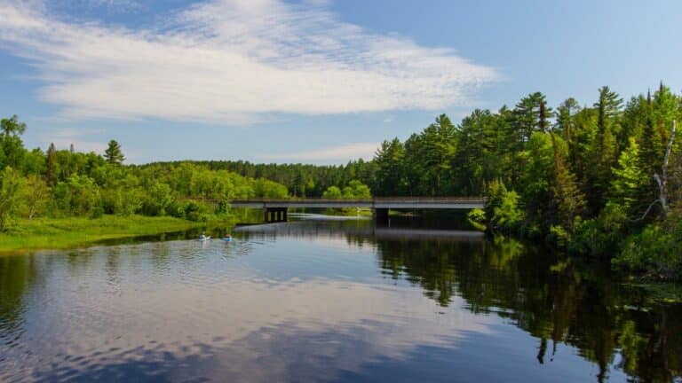 25 Best Fly Fishing Rivers in the USA