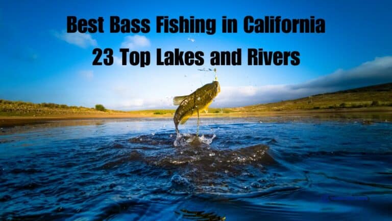Best Bass Fishing in California: 23 Top Lakes and Rivers