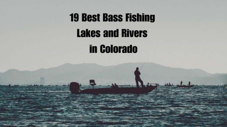 19 Best Bass Fishing Lakes and Rivers in Colorado – Tackle Box Talk