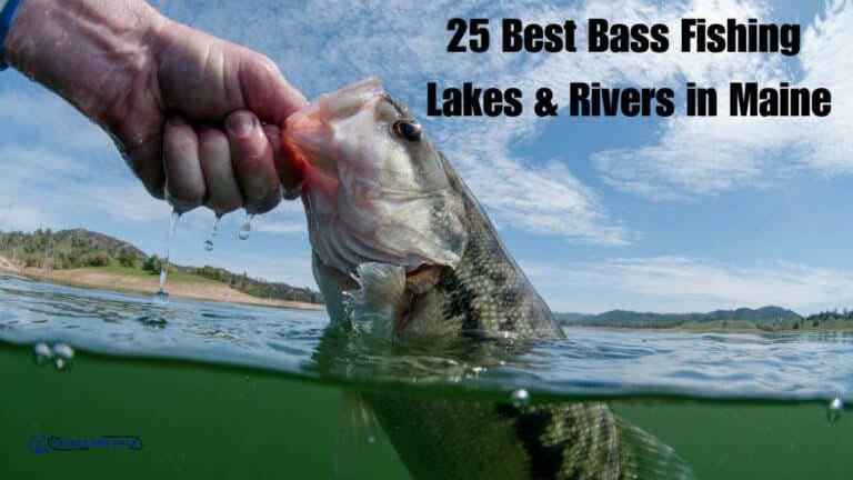 25 Best Bass Fishing Lakes and Rivers in Maine – Tackle Box Talk