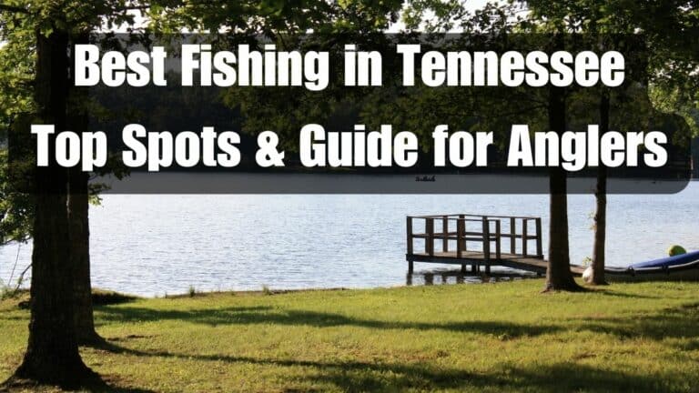 Best Fishing in Tennessee: Top Spots and Guide for Anglers – Tackle Box ...
