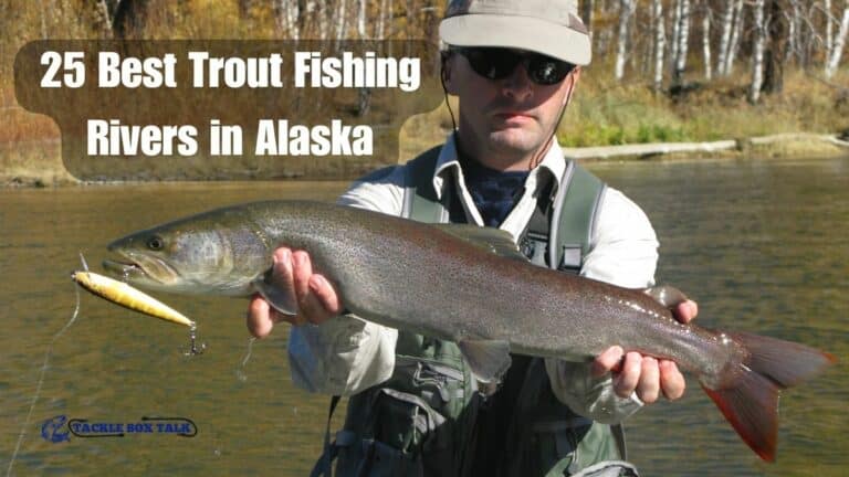 25 Best Trout Fishing Rivers in Alaska: Trophy Trout Await – Tackle Box ...