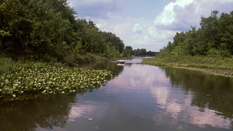 25 Best Fishing Lakes in Michigan: An In-Depth Guide