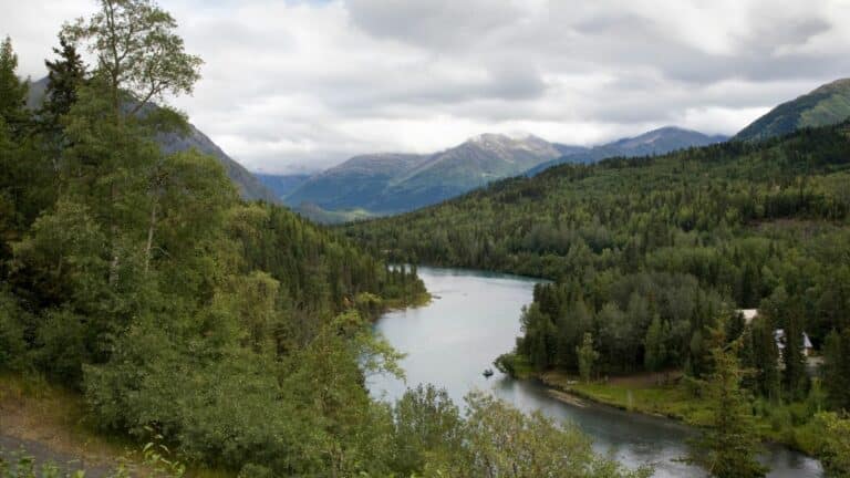 25 Best Trout Fishing Rivers in Alaska: Trophy Trout Await – Tackle Box ...