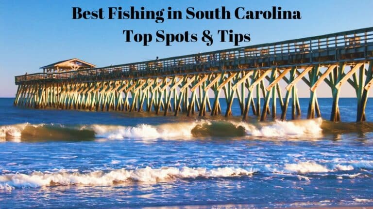 Best Fishing in South Carolina: Top Spots and Tips – Tackle Box Talk