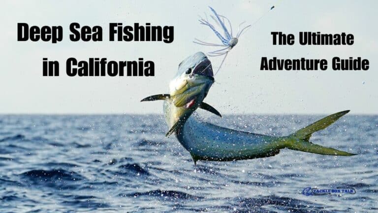 Best Deep Sea Fishing in California: The Ultimate Adventure Guide ...