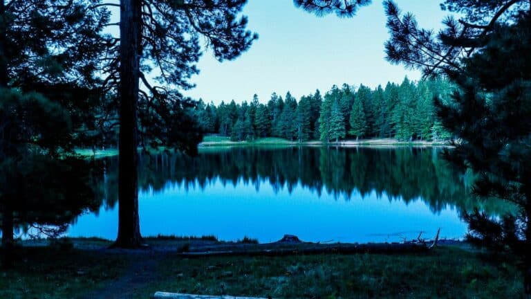 21 Best Fishing Lakes in Arizona: A Comprehensive Guide – Tackle Box Talk