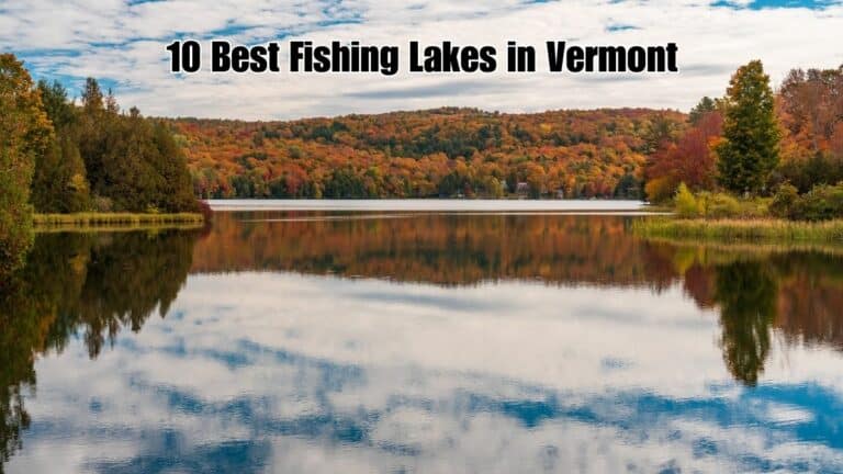 25 Best Bass Fishing Lakes in Minnesota: A Guided Tour