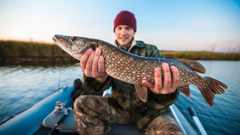 10 Best Fishing Lakes in Virginia: An Anglers Paradise – Tackle Box Talk